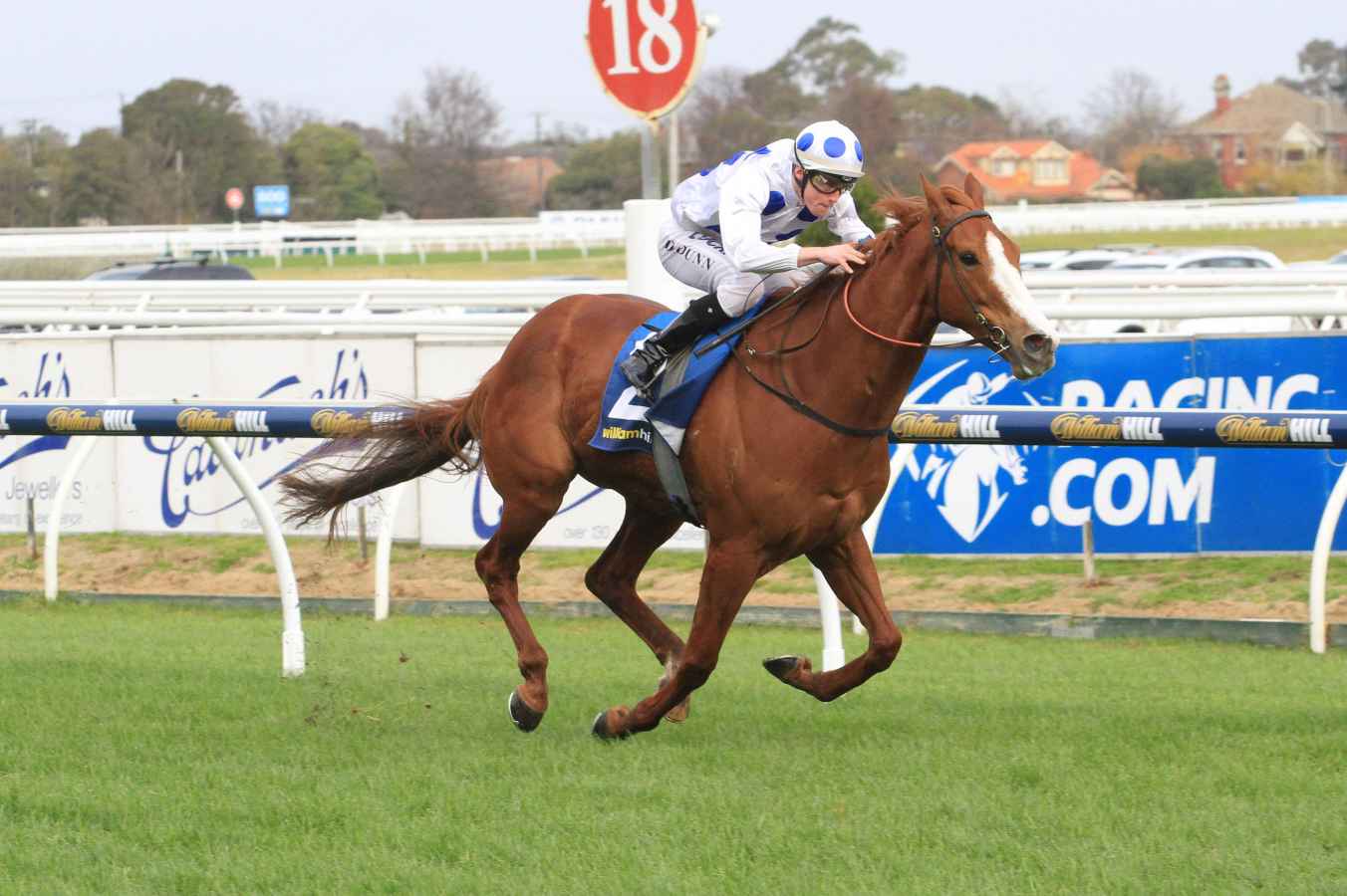 Charmed Harmony wins minor Caulfield race