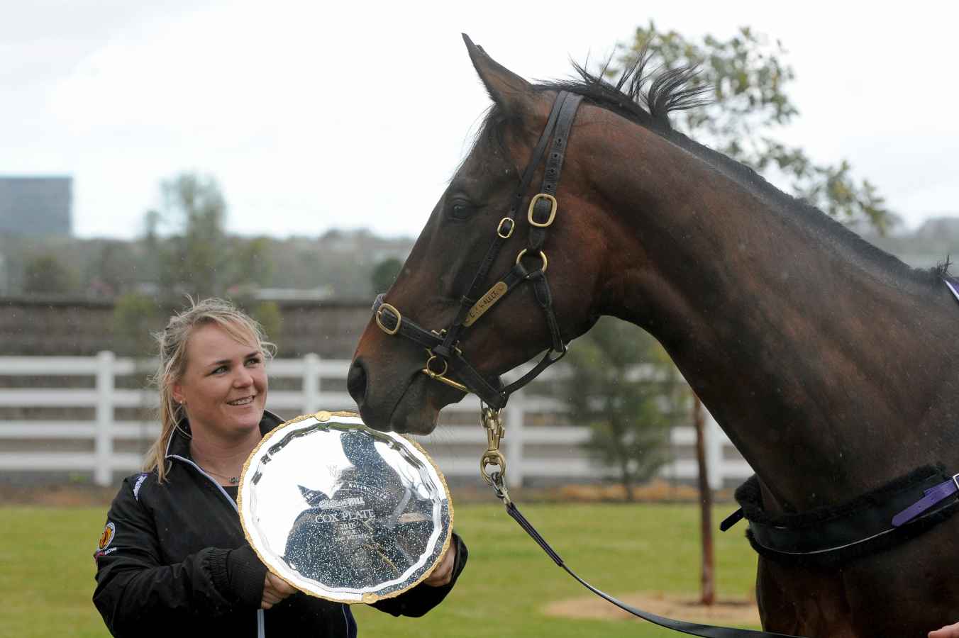 All in order for Winx Apollo return