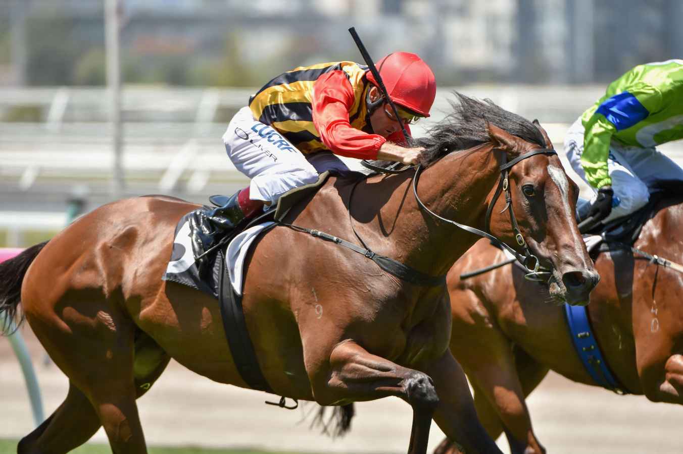 Chester Manifold Stakes day in review