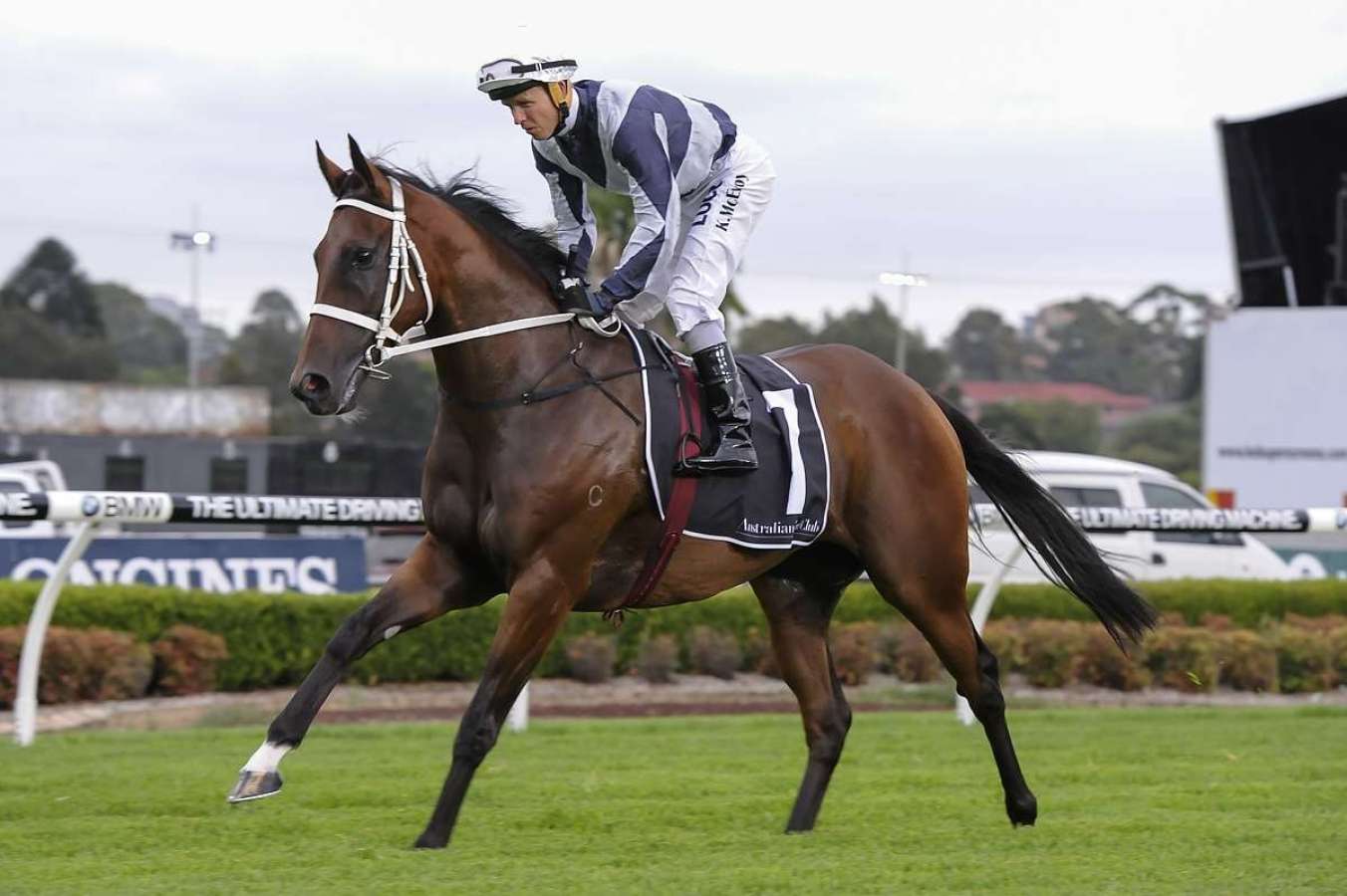 Dawn Wall surges to Kembla Classic glory