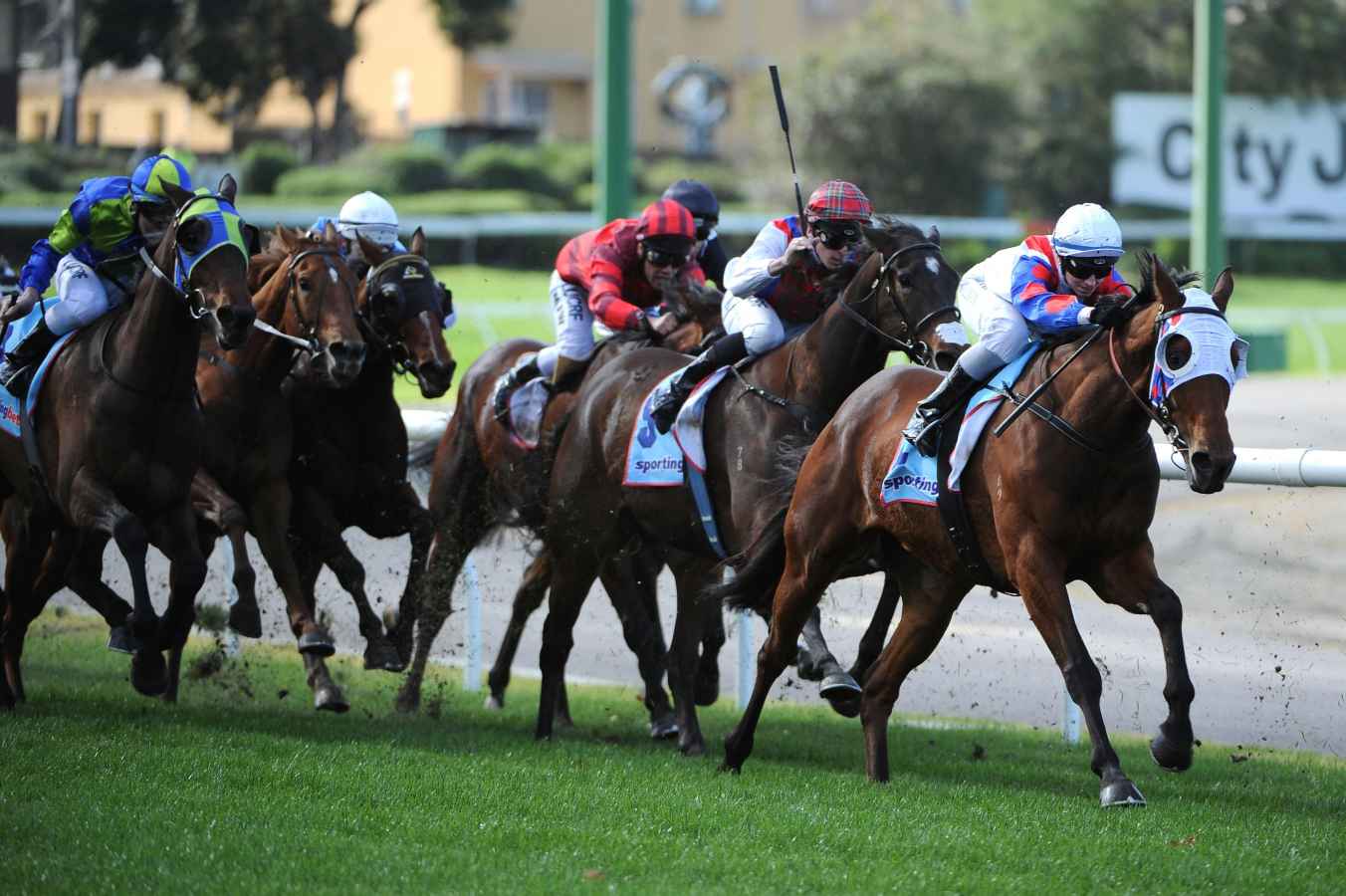 More country Cups in mind for Digitalism