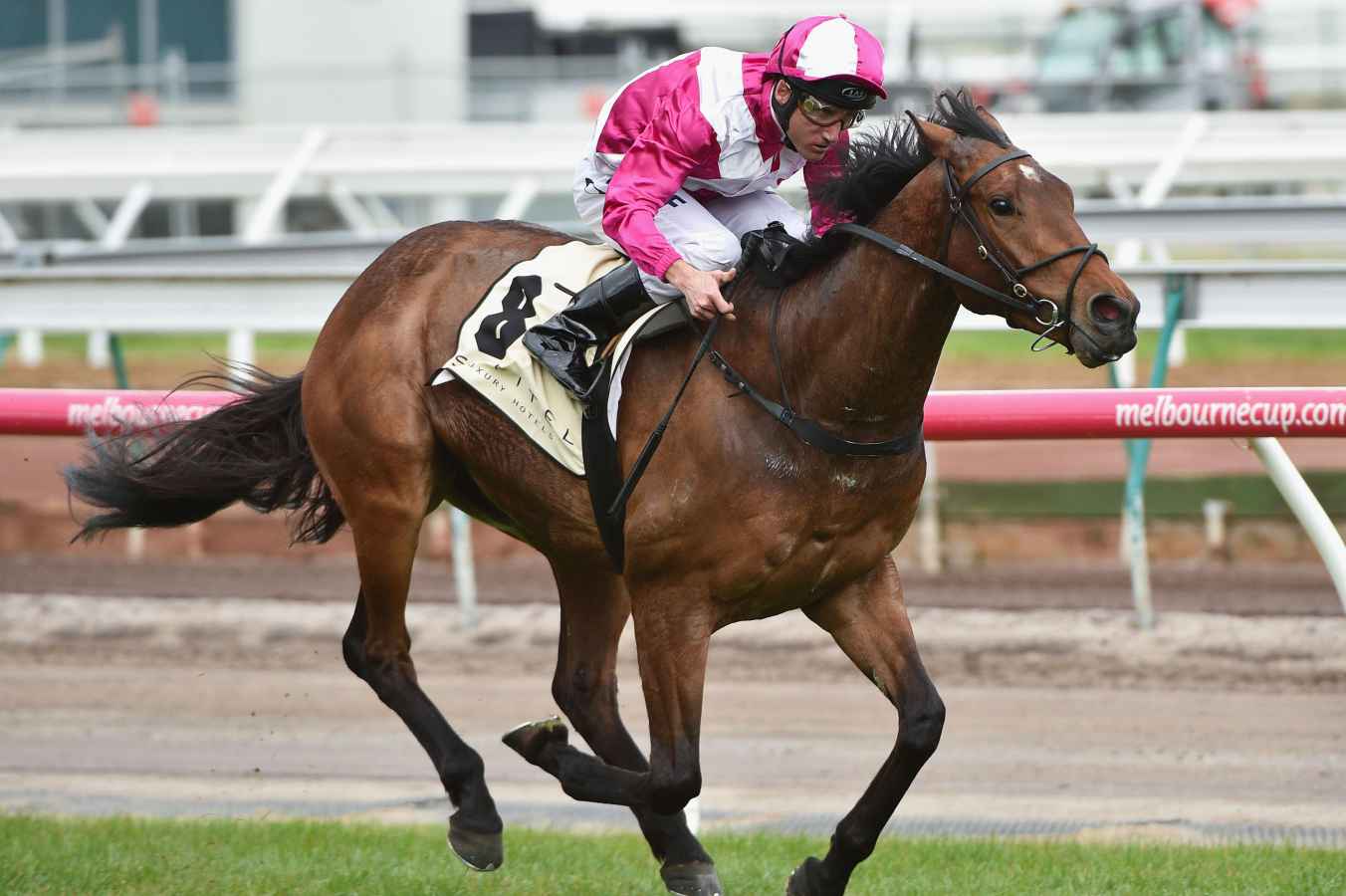 Rupert Clarke Stakes: What you need to know