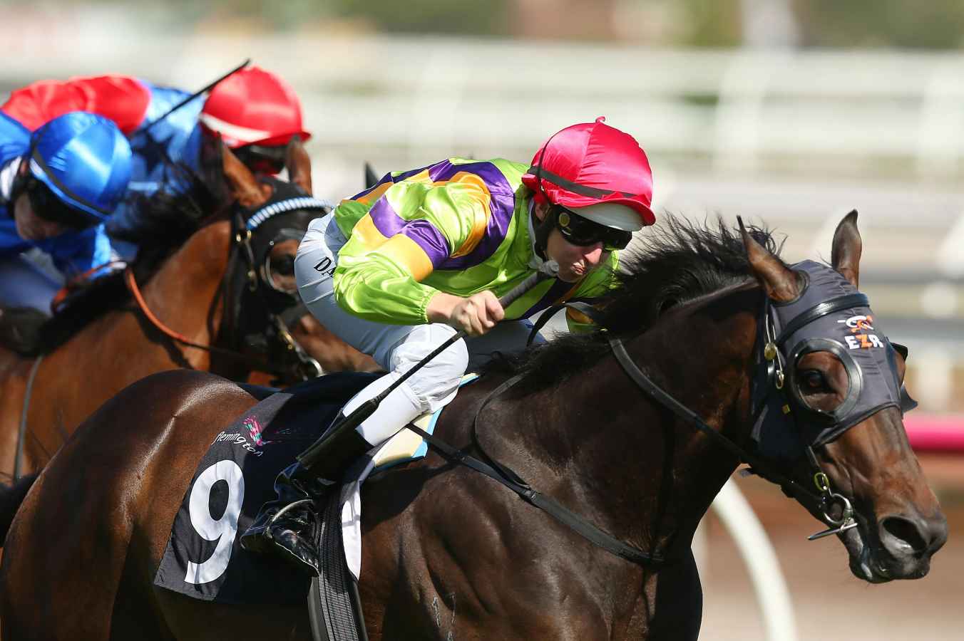 Australia Stakes option for Durendal