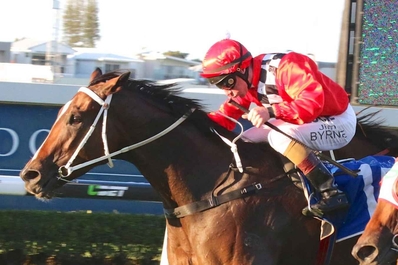 Doomben preview