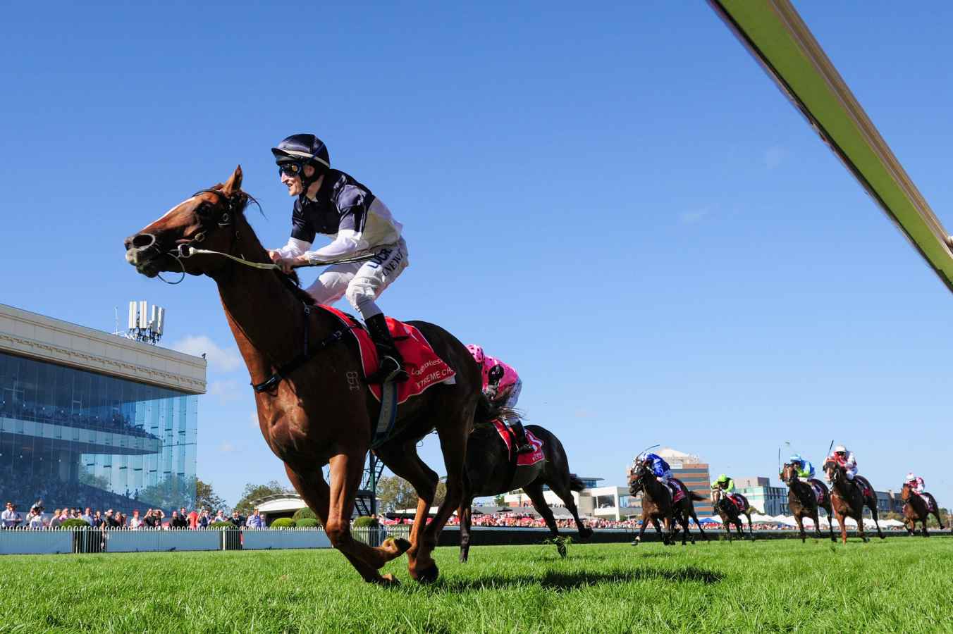 Blue Diamond Stakes day in review