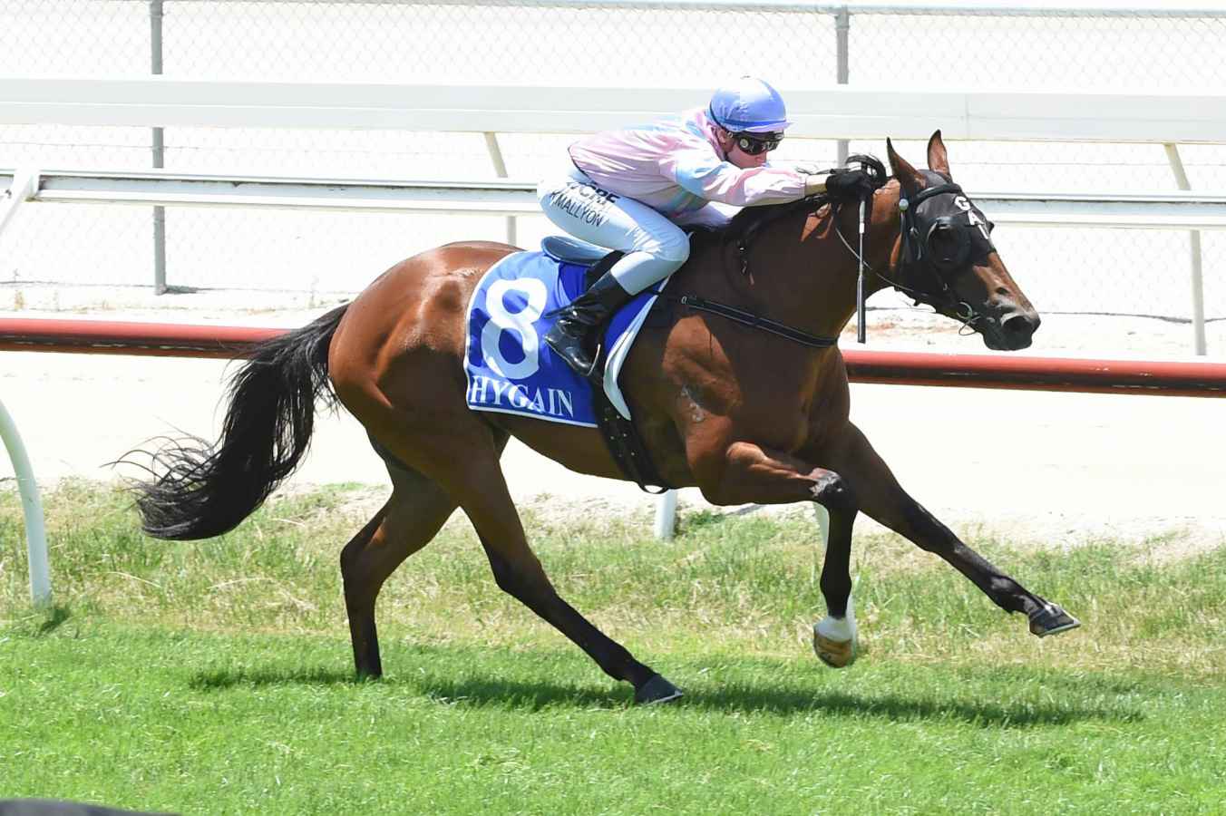 Farson to face first city test at Sandown