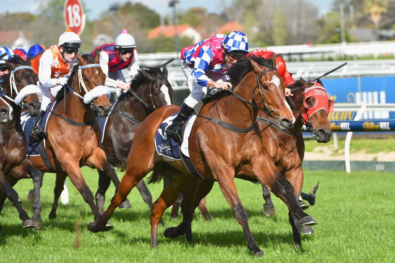 Dale looking for first-up Schillaci Swoop