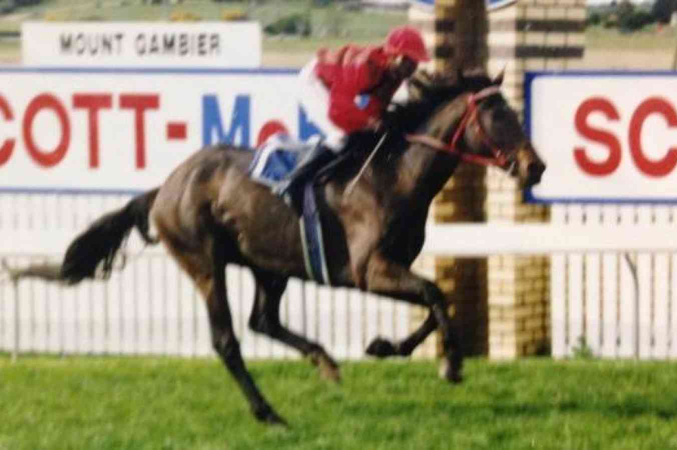 Prosecutors seek death penalty for ex-jockey