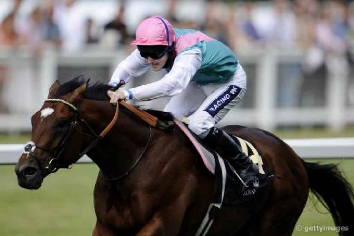 Frankel named Horse Of The Year