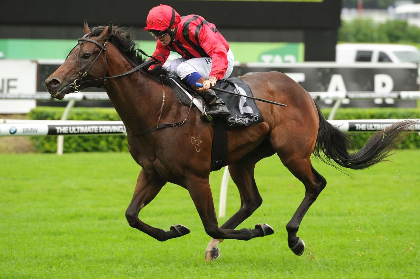 Hallowed Crown sparked Godolphin interest