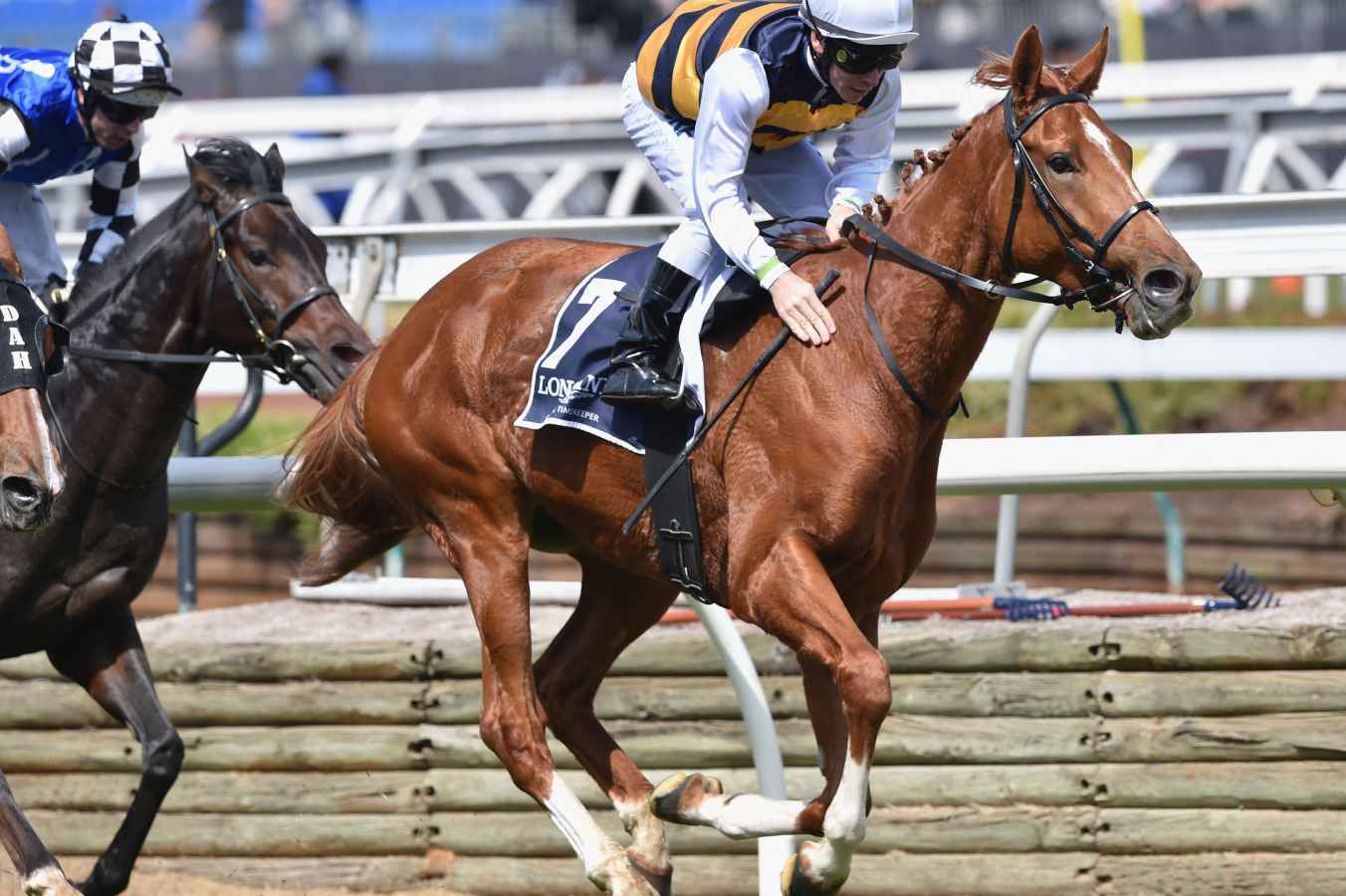 French-trained Gailo Chop wins Mackinnon