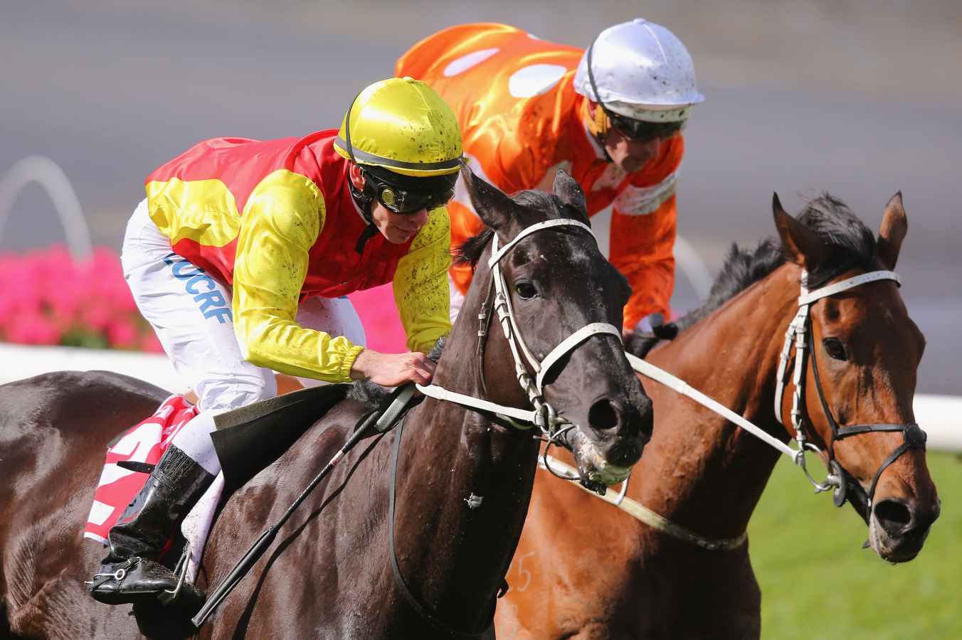 Grand Marshal captures Moonee Valley Cup