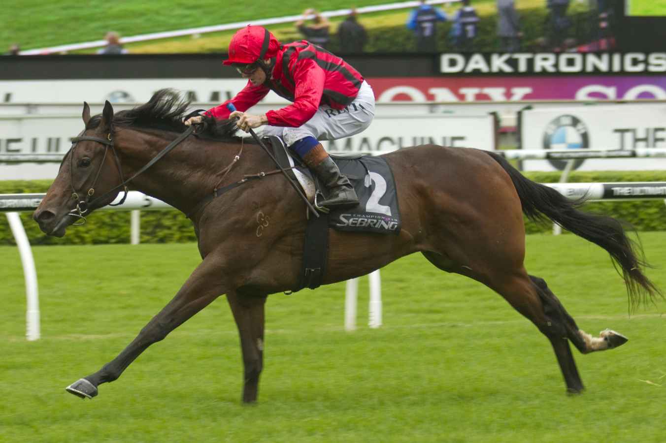 Golden Rose final field & barrier draw