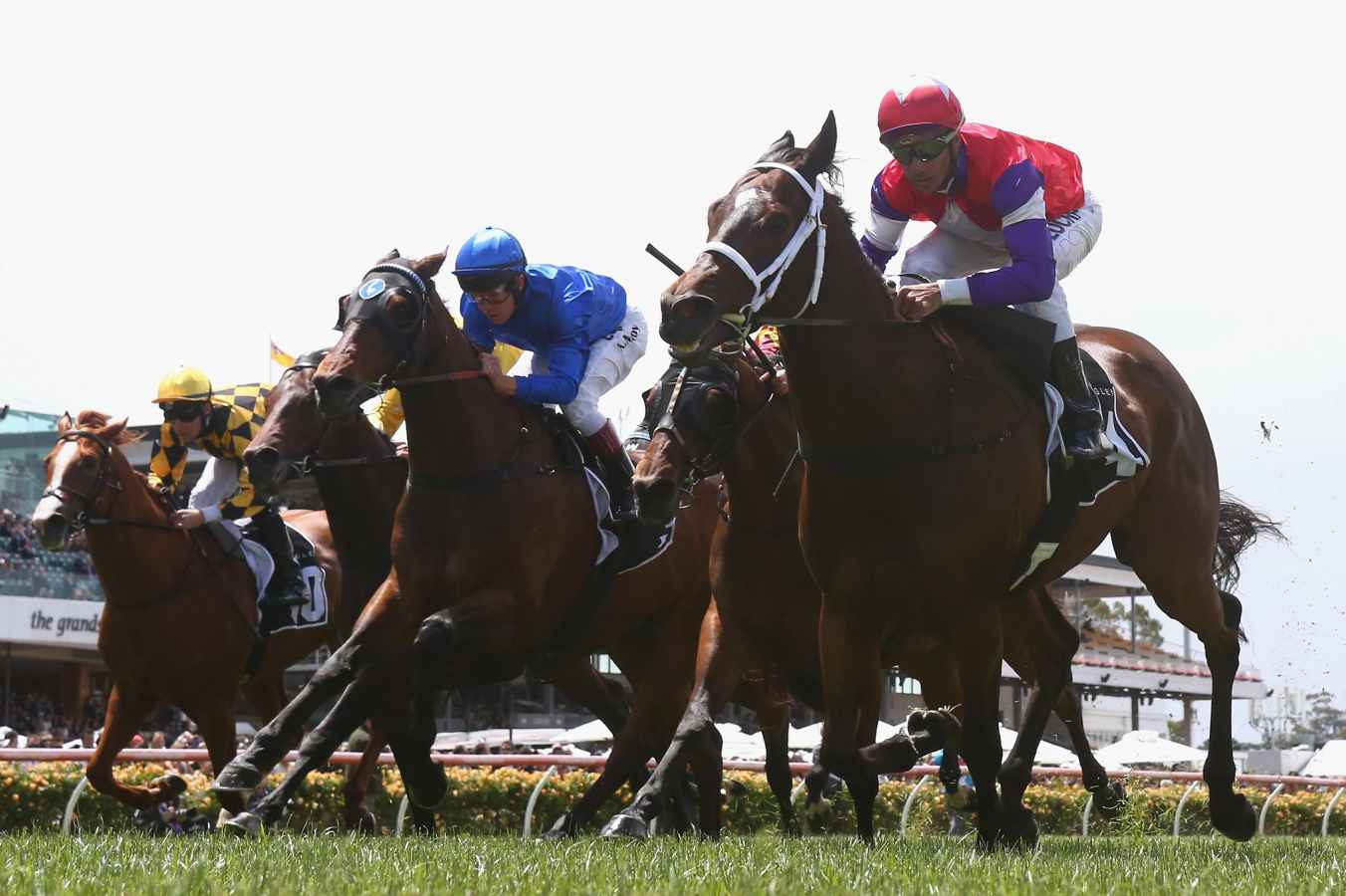 Hucklebuck to make Sydney debut in Ryder