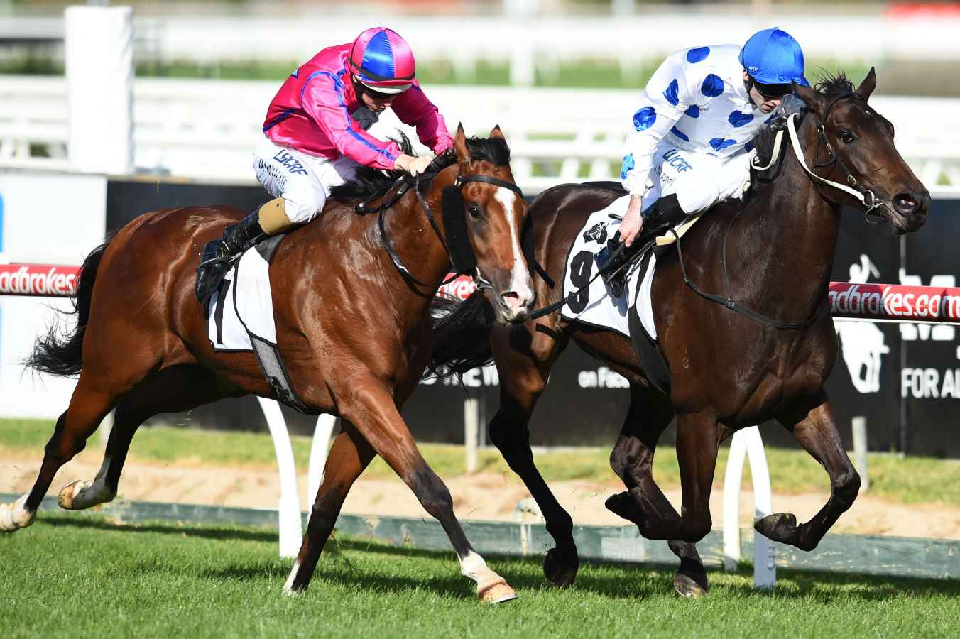 Noonan wins Listed race on Oregon's Day