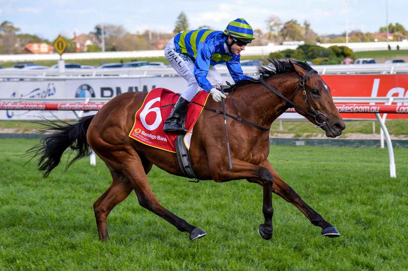 Jameka pleases in Caulfield jump-out