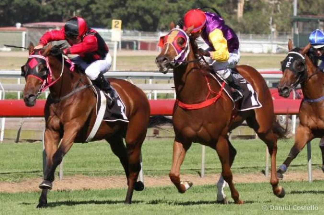 New tactics work wonders for Jet Style