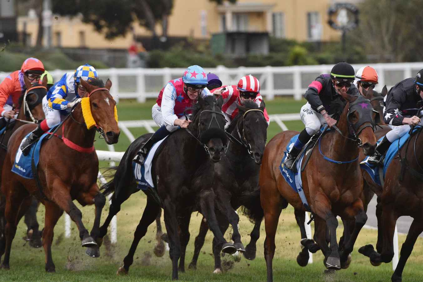 Schofield lands first city win since April