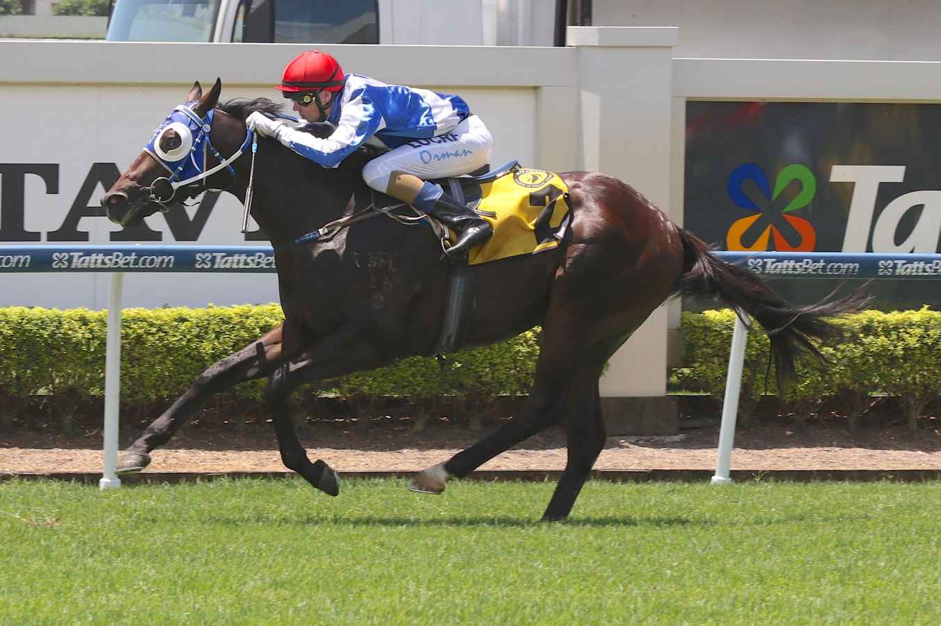 James Orman racks up more winners