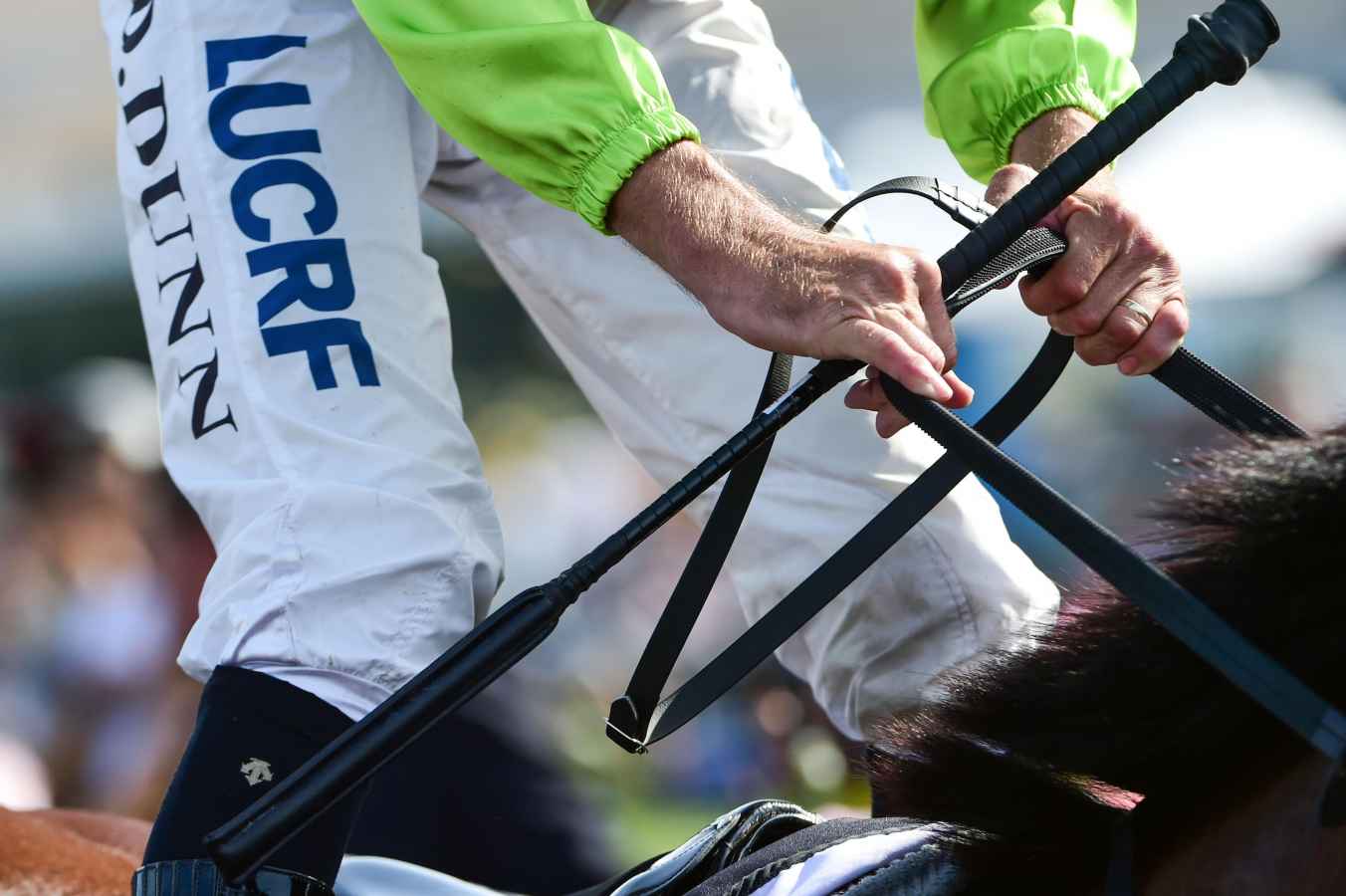 Grace period over for new whip rule