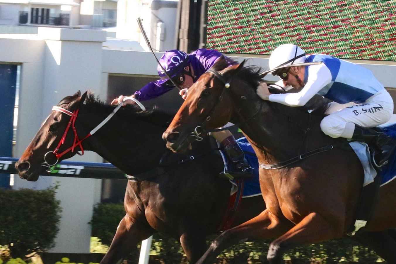 Jumbo Prince to finally get his trip