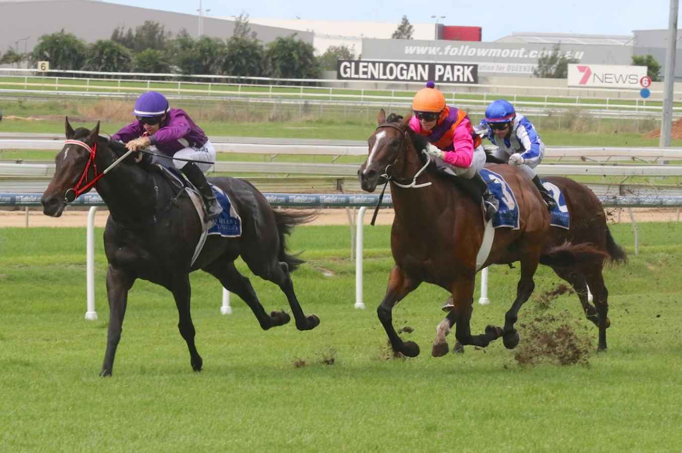 Jumbo Prince to run at the Gold Coast