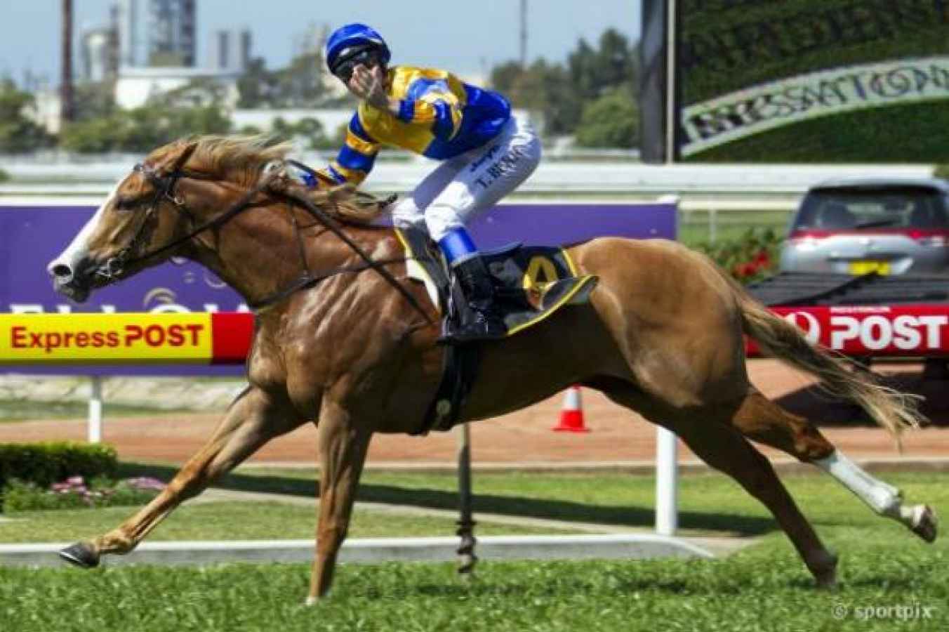 Karuta Queen to take on Black Caviar