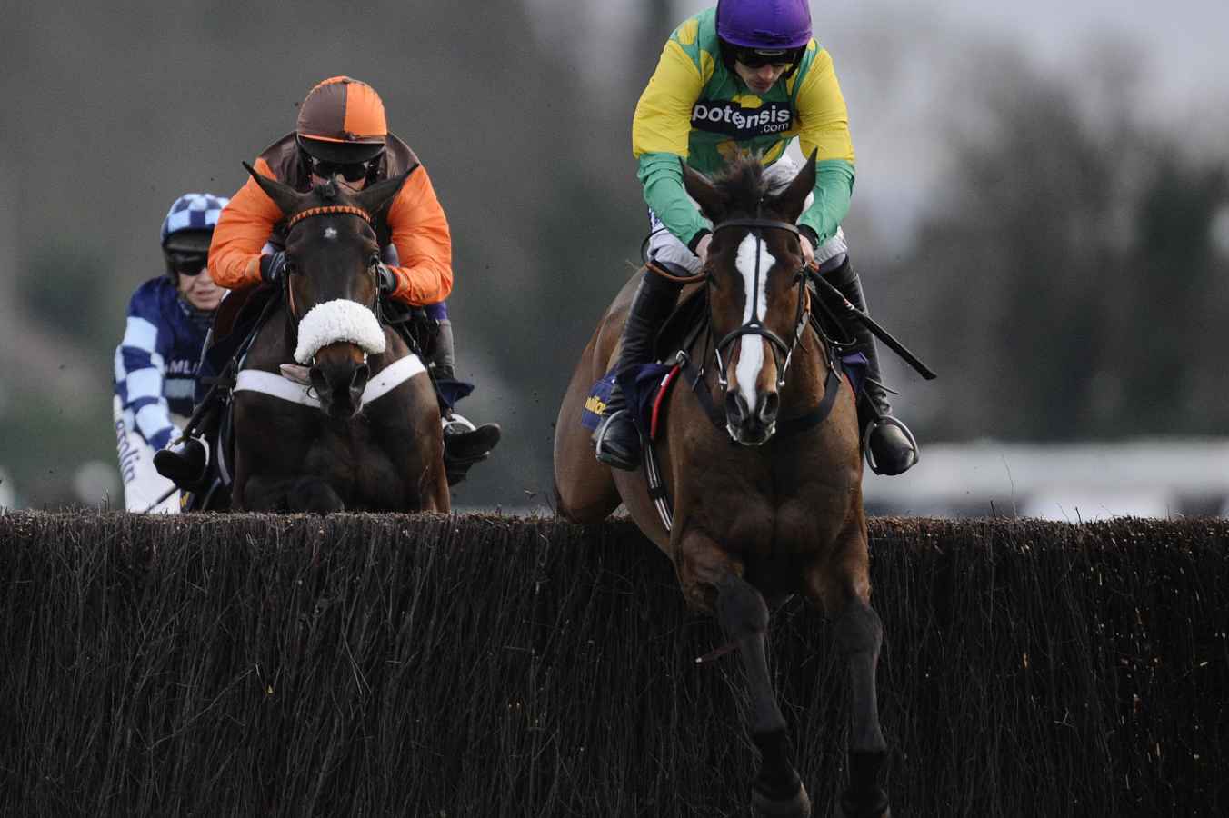 Legendary jumper Kauto Star euthanised