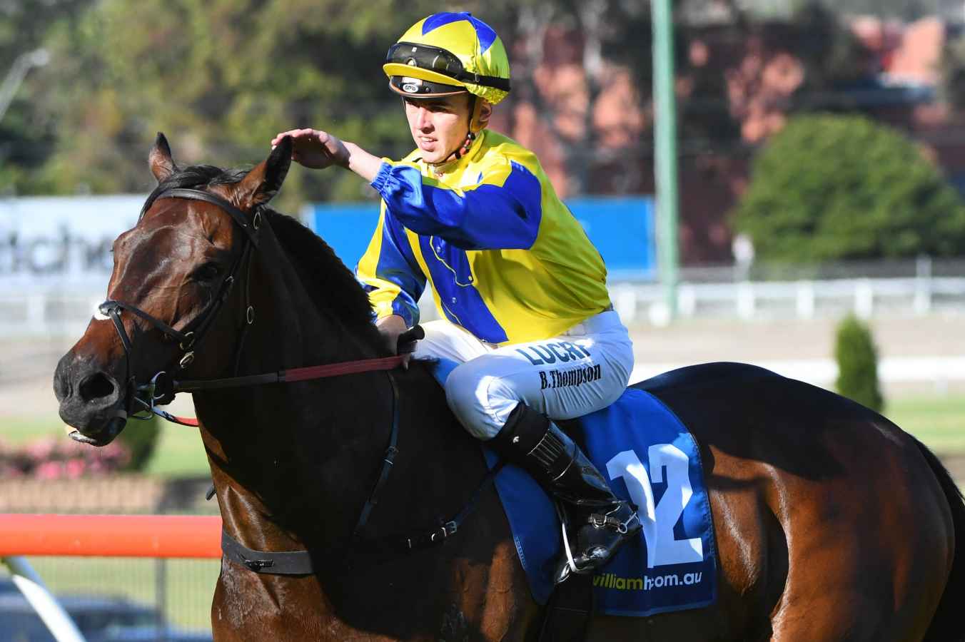 King's Command chasing back-to-back wins