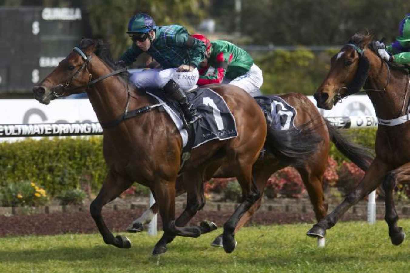 Knight Exemplar still learning how to win