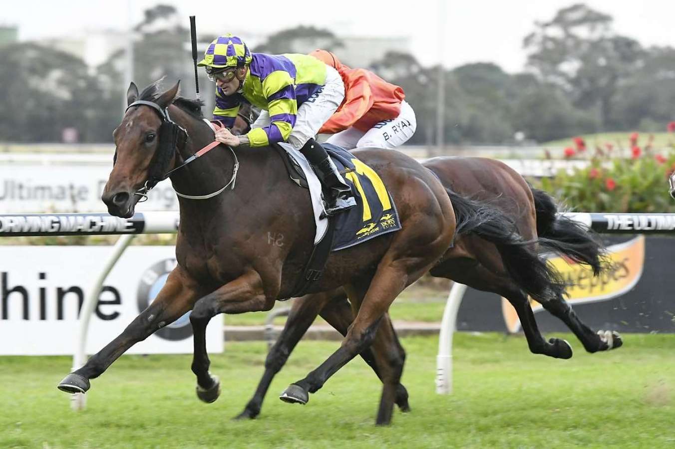 Louie Sea Kay makes it a treble for Brown