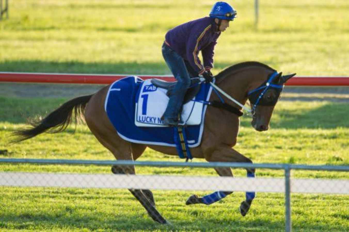 Caution on Hong Kong sprinter