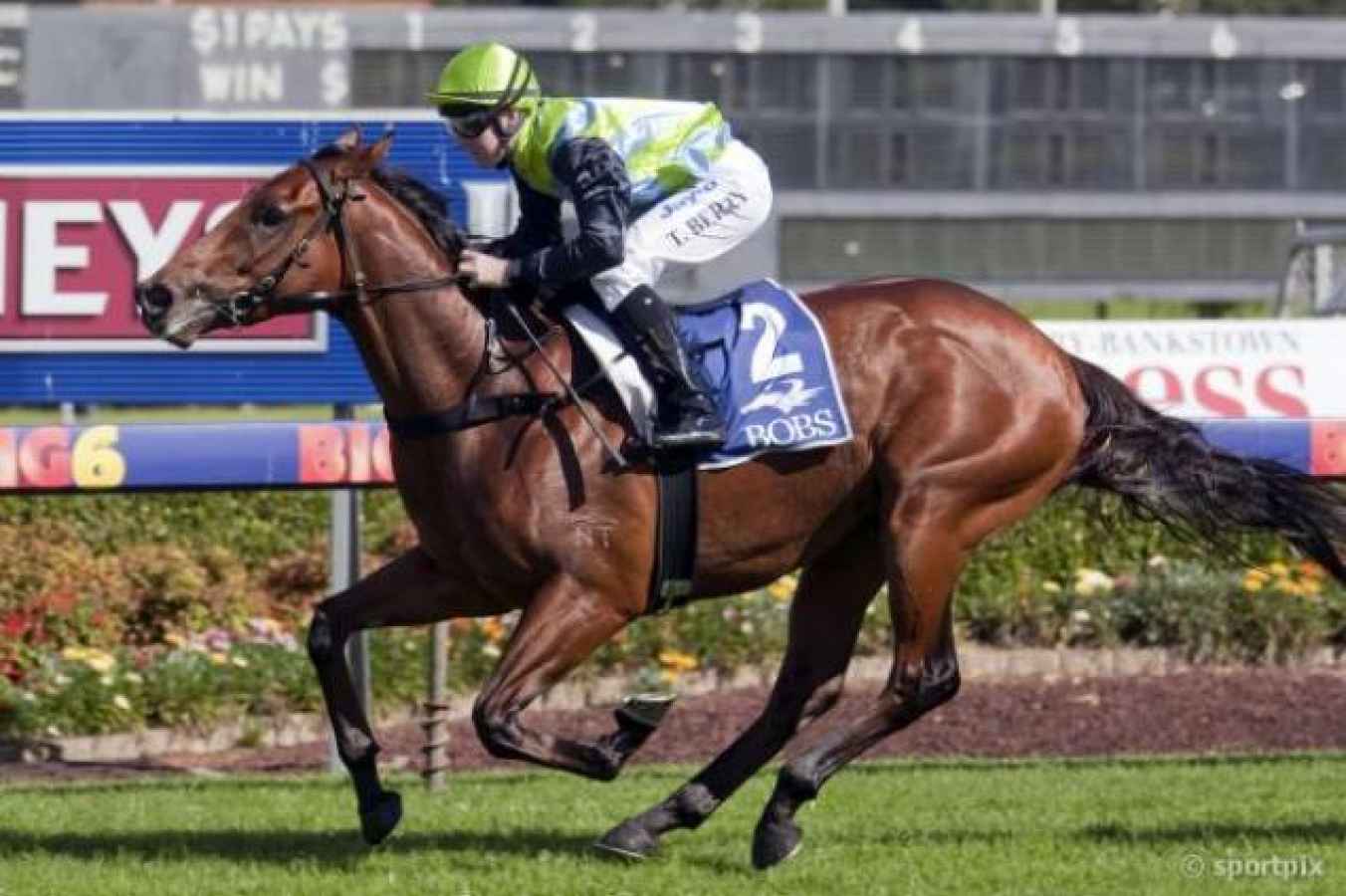 Manawanui has Golden glow