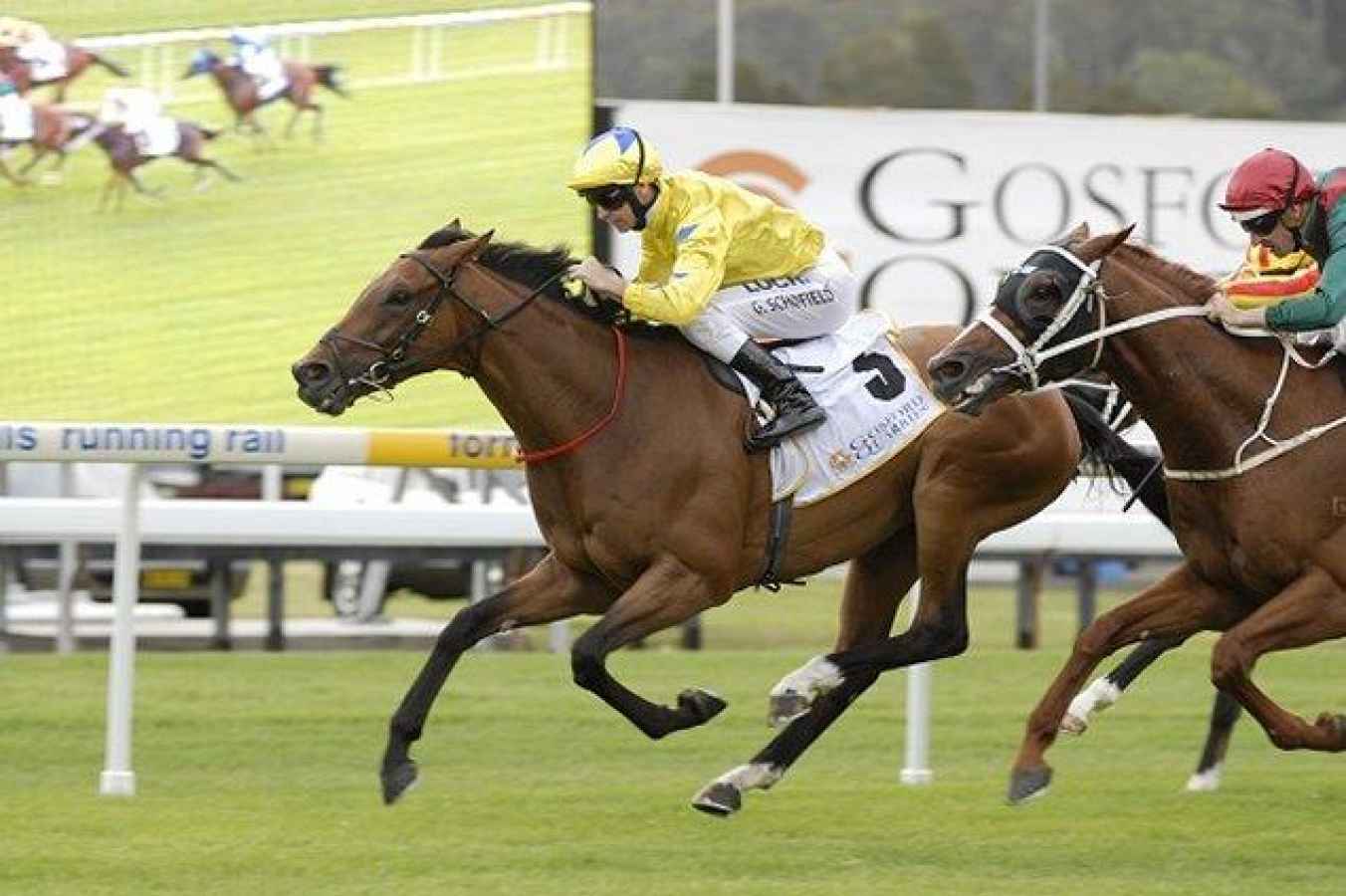 Sam Kavanagh and five others disqualified