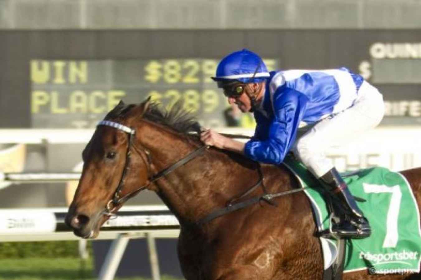 More Joyous wins Queen Elizabeth Stakes