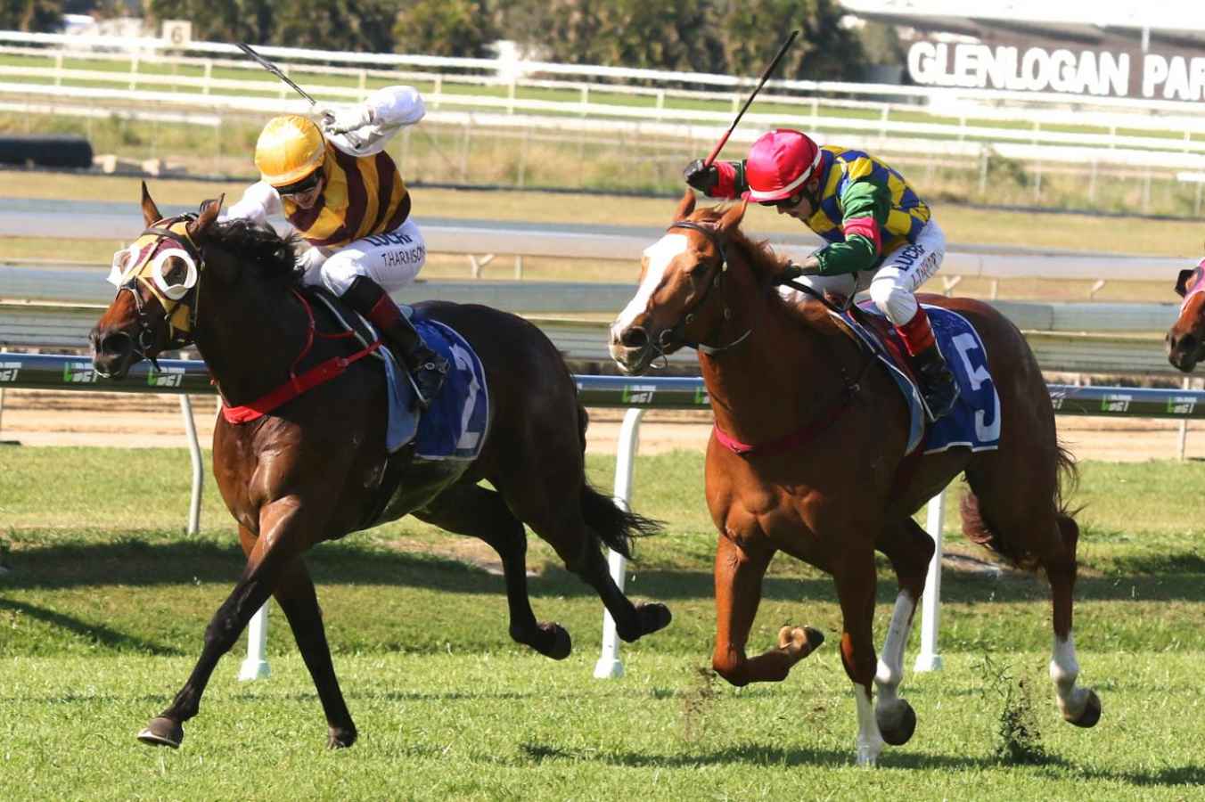 Doomben preview