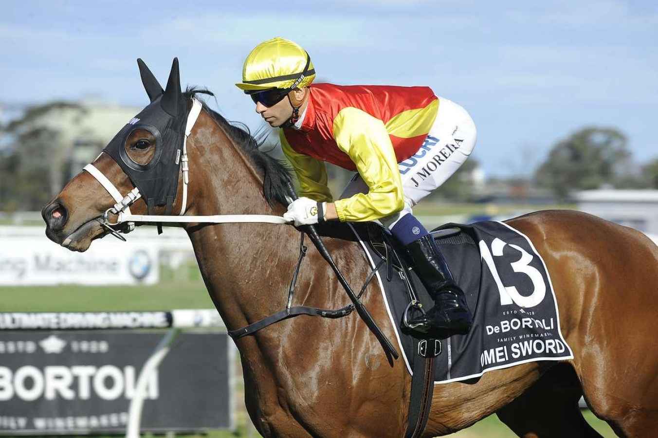 Omei Sword nearing comeback