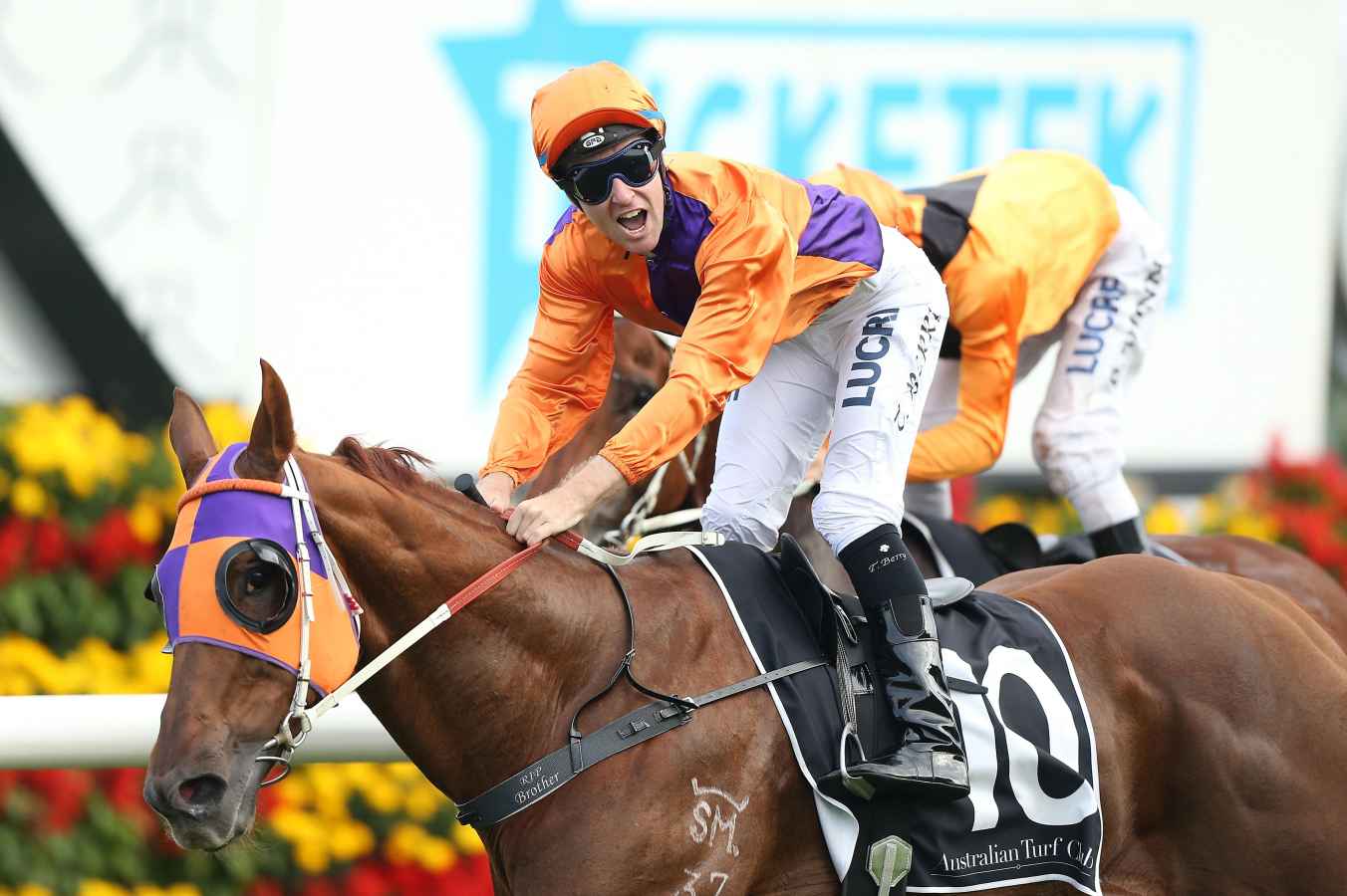 Our Boy Malachi set for Group One tilt