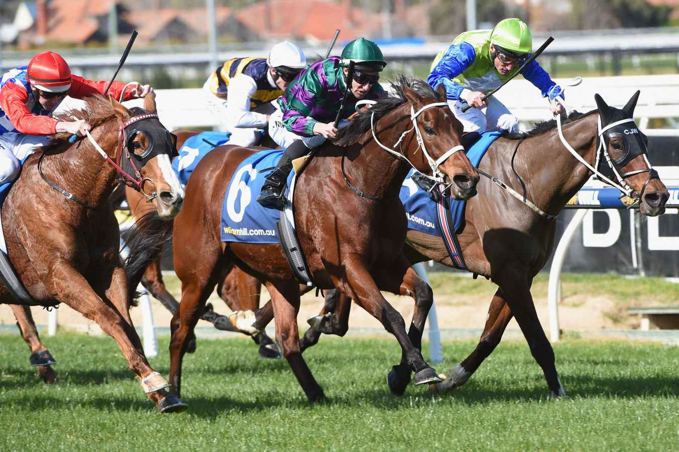 Our Voodoo Prince back in winning form