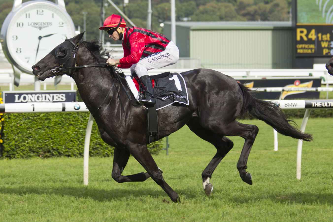 Prized Icon to prove he is no lightweight