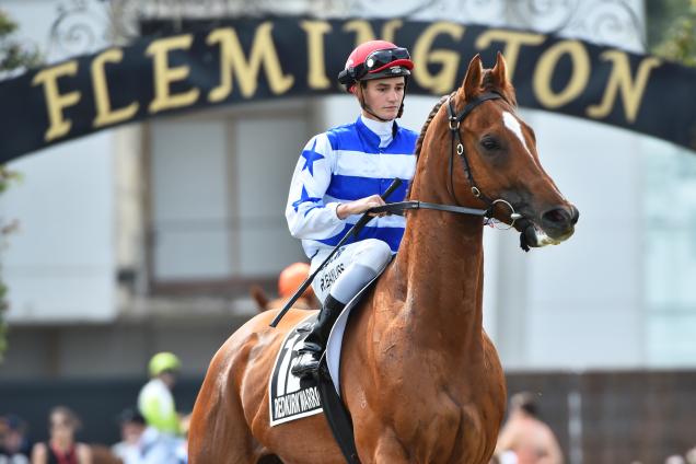 Redkirk Warrior | Horse Profile, Form Guide & Latest Odds