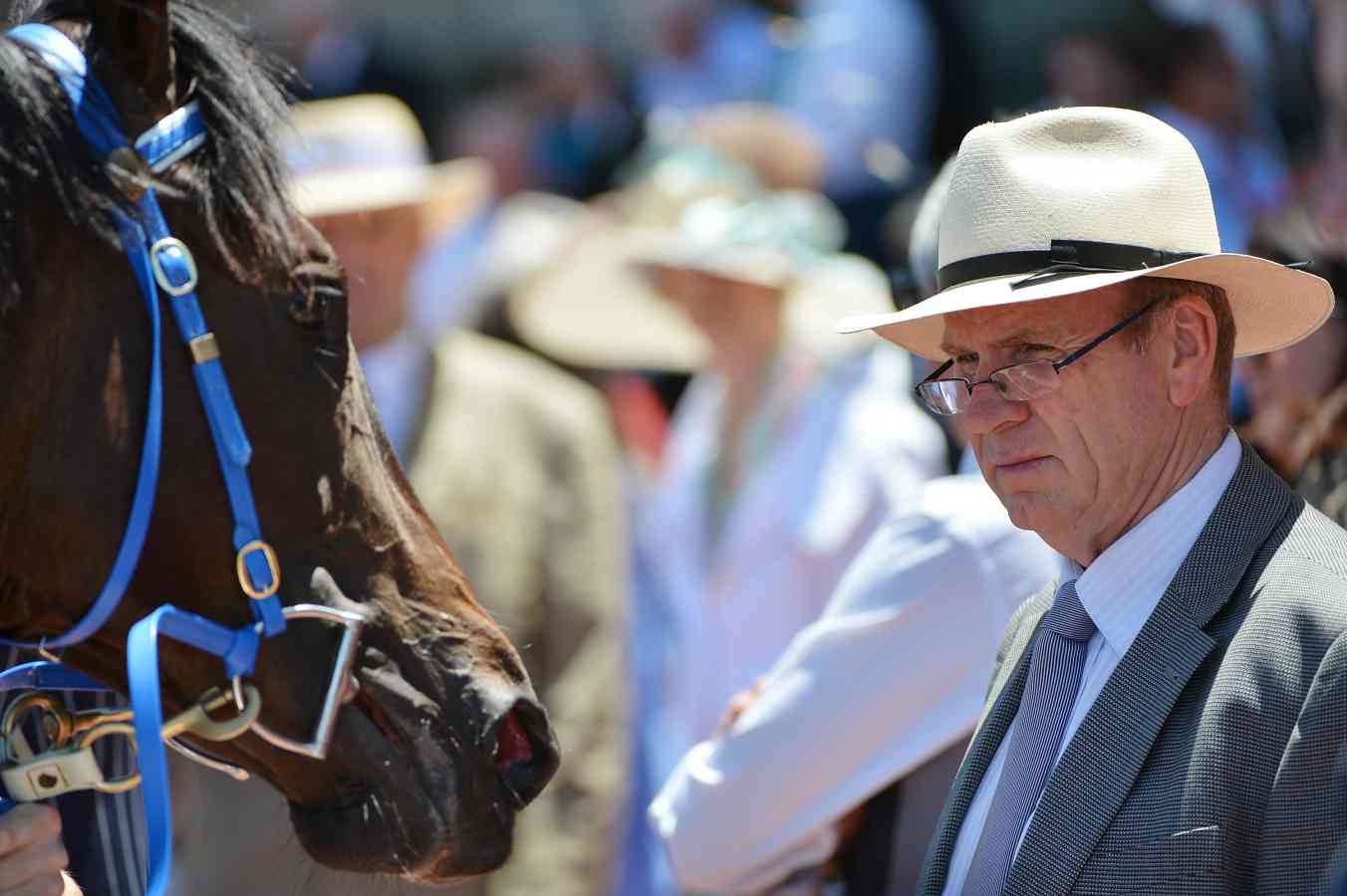 Smerdon weighs up options with Andrioli