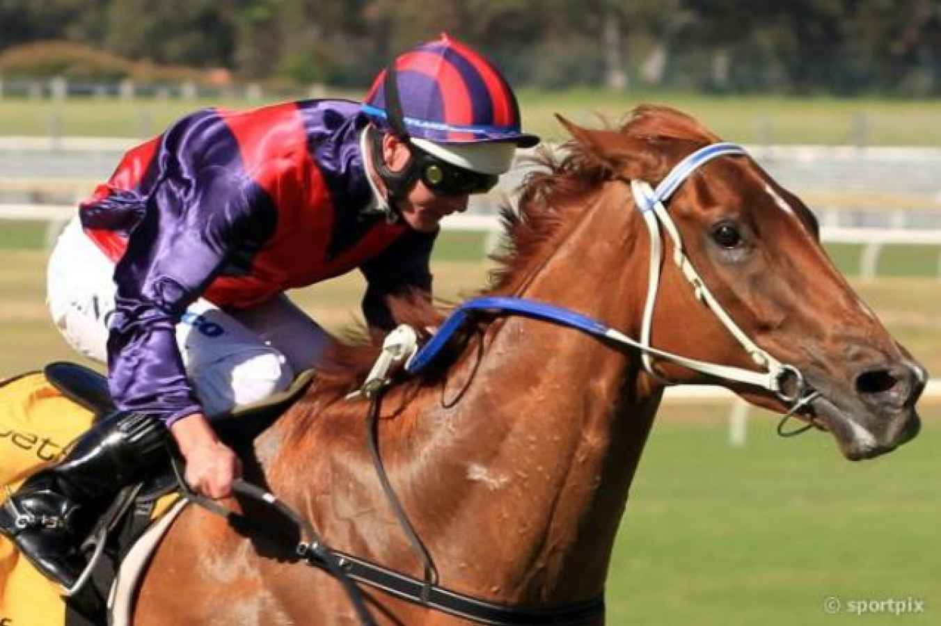 Rothera on trial for new trainer