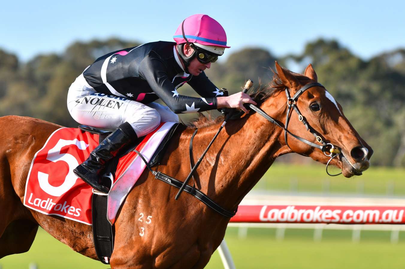 Ruby Sea brings up the century for Maher