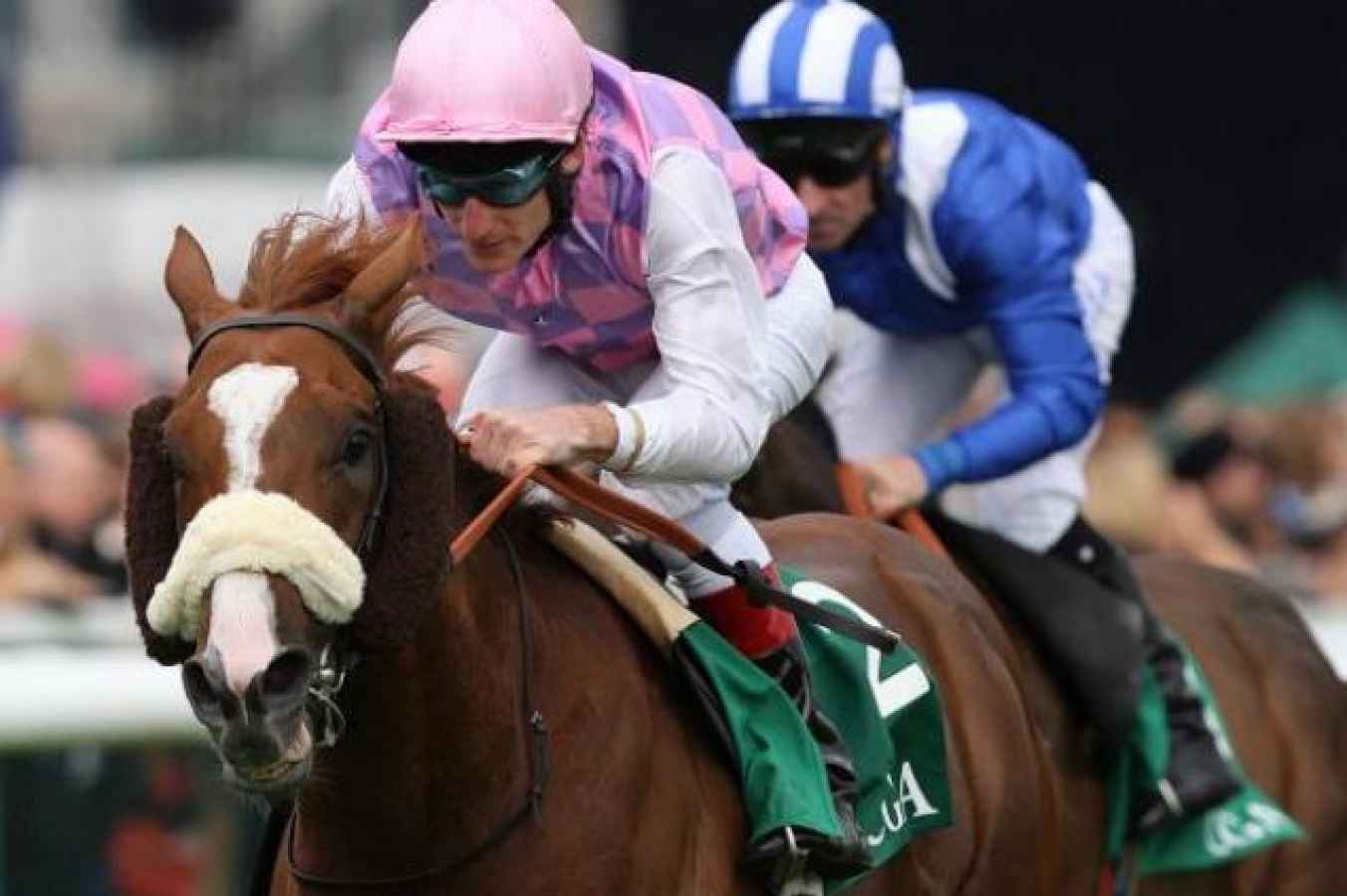 Noseda leaning towards Cup for Sans