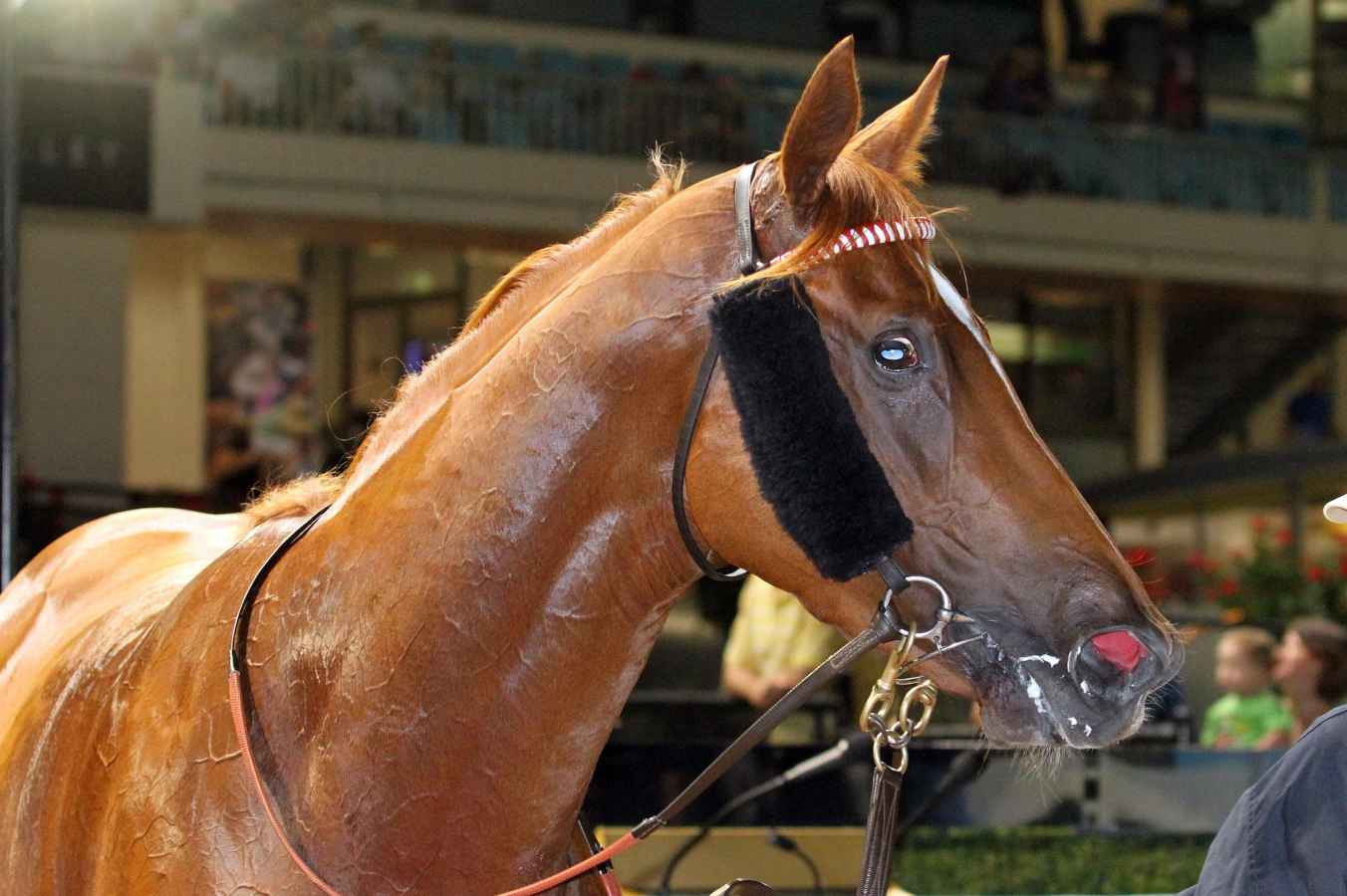 Sari a surprise packet for Simon Morrish