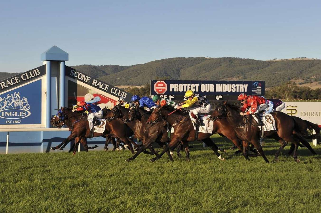 Scone Cup carnival tips