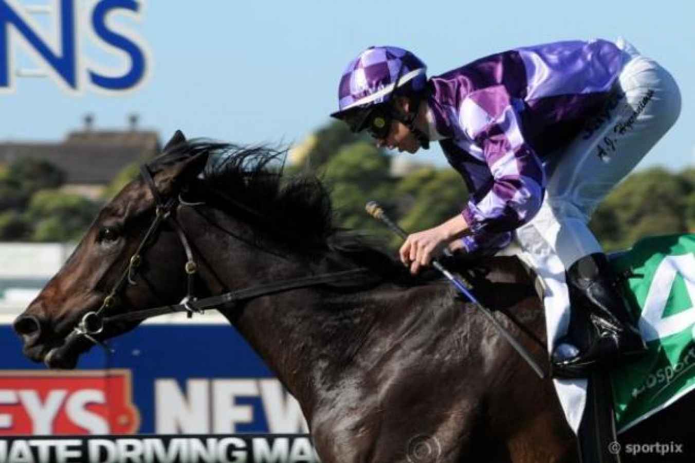 Versatility an asset for Scream Machine