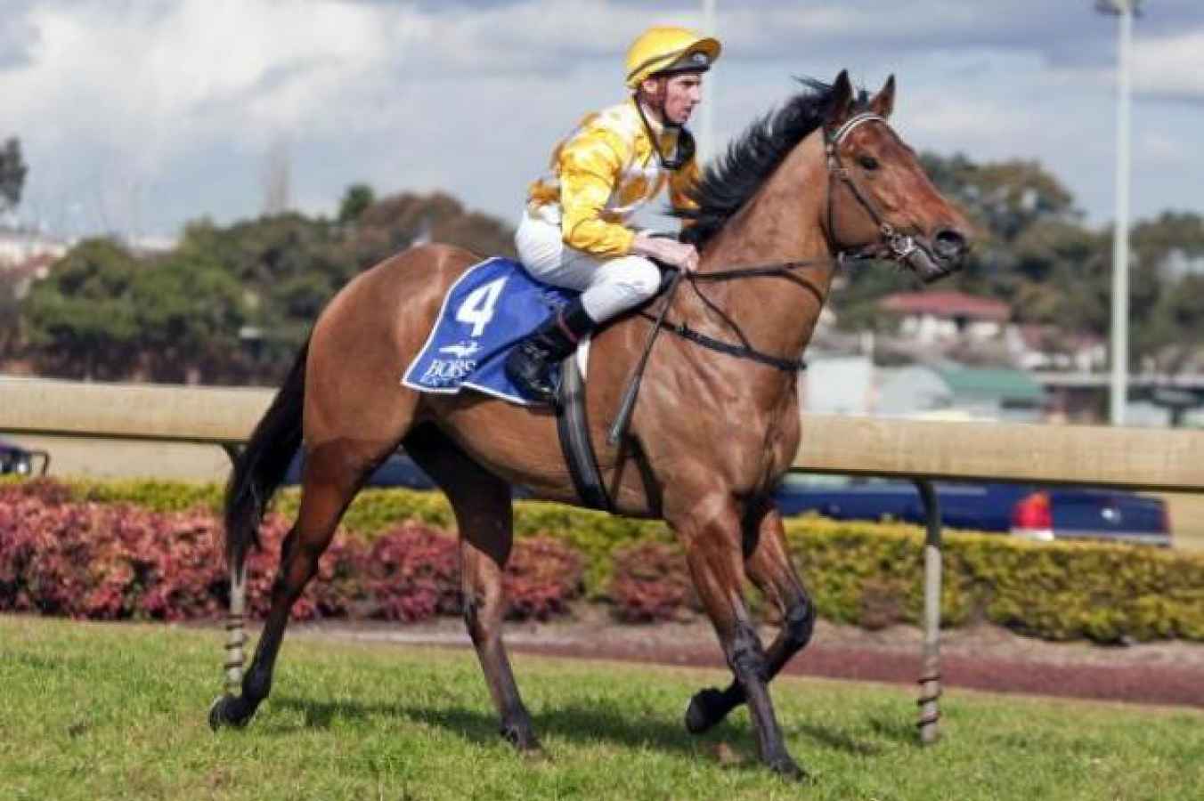 Sea Lord ripe for Rosehill