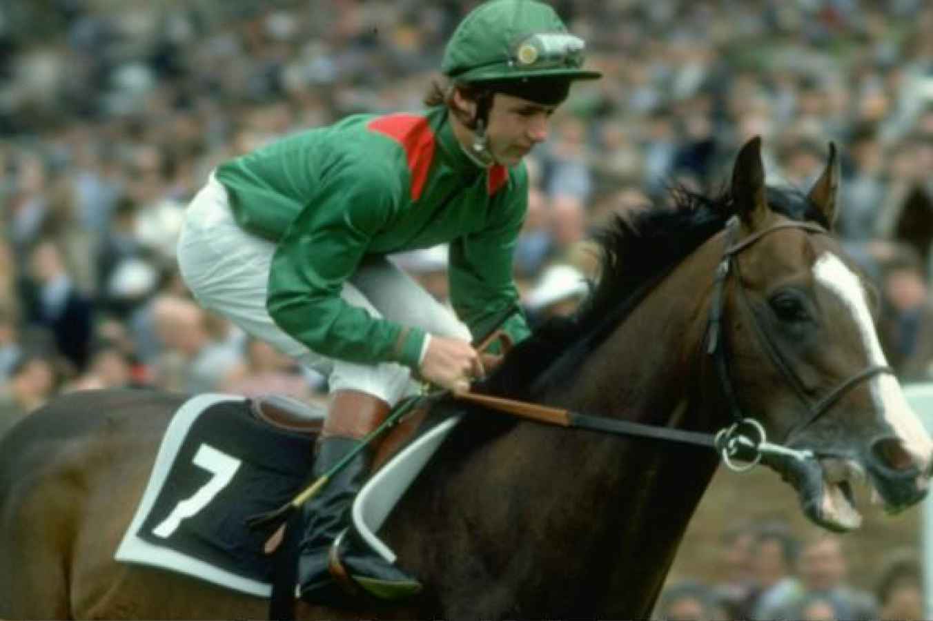 The tragedy of Shergar
